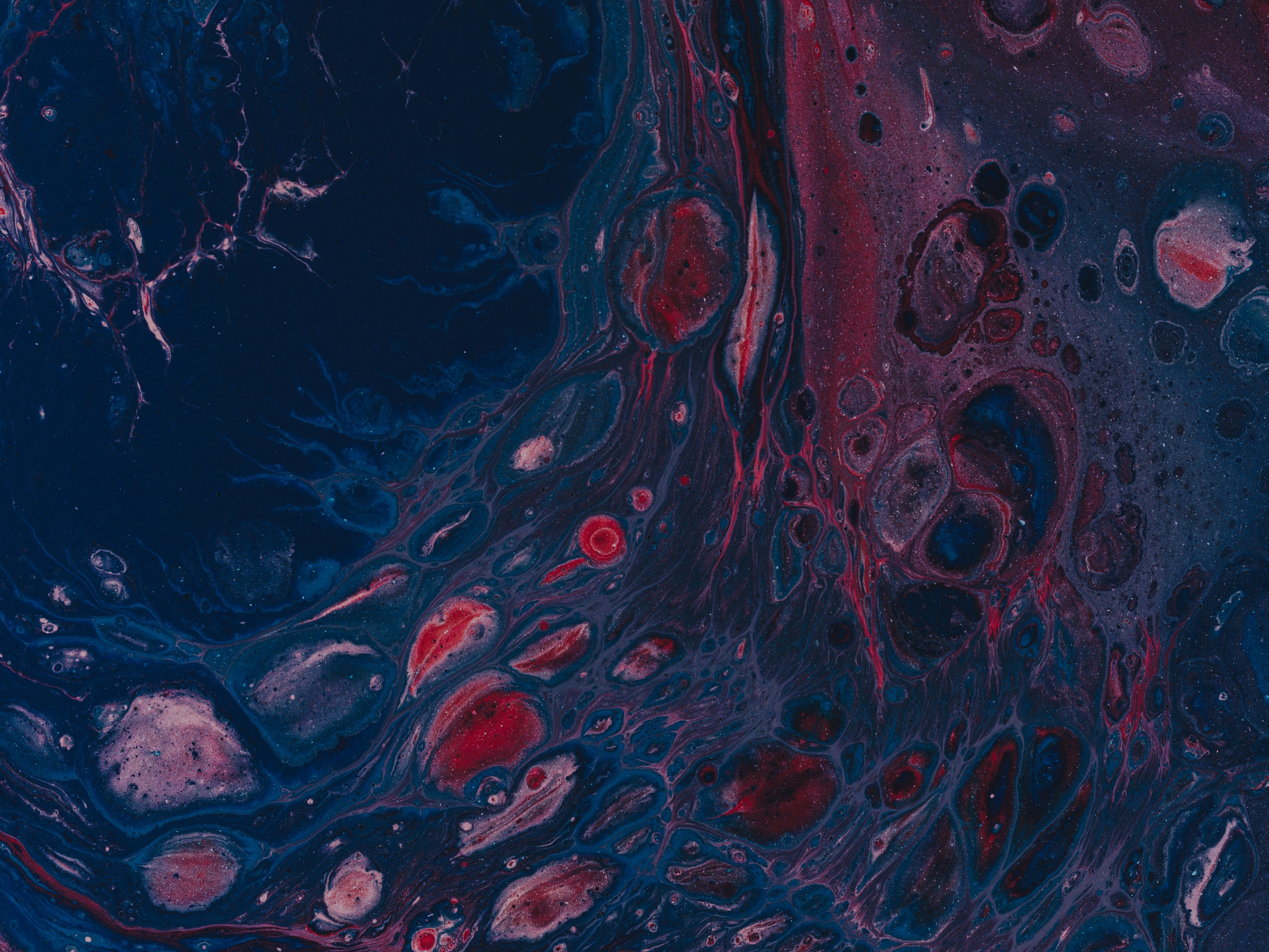 Graduate Diploma in Social Impact and Not-for-Profit Management