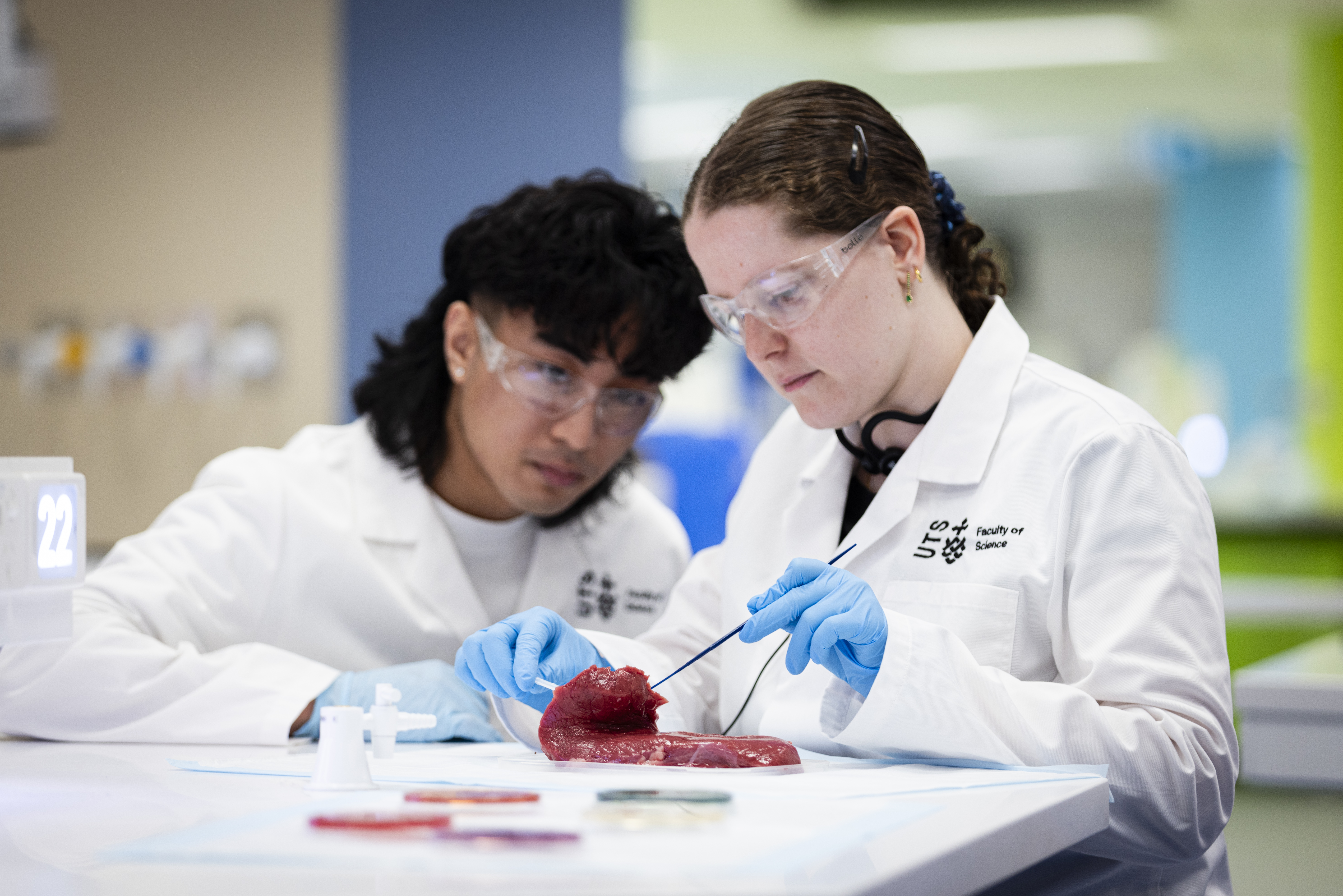 Study Food Science | UTS Degree in Food Innovation & Technology