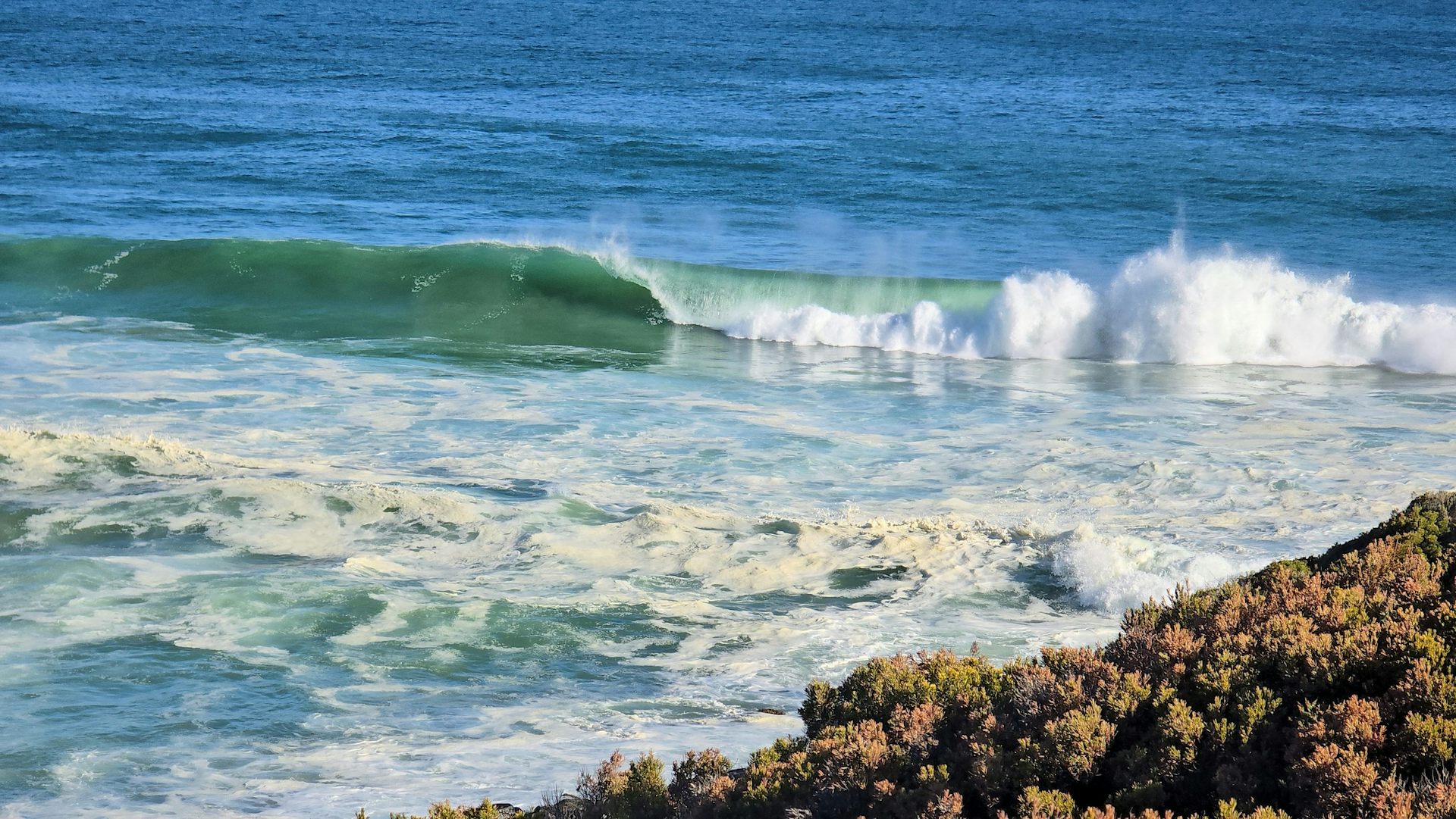 Mystery solved: the tiny algae killing fish and harming surfers on SA ...