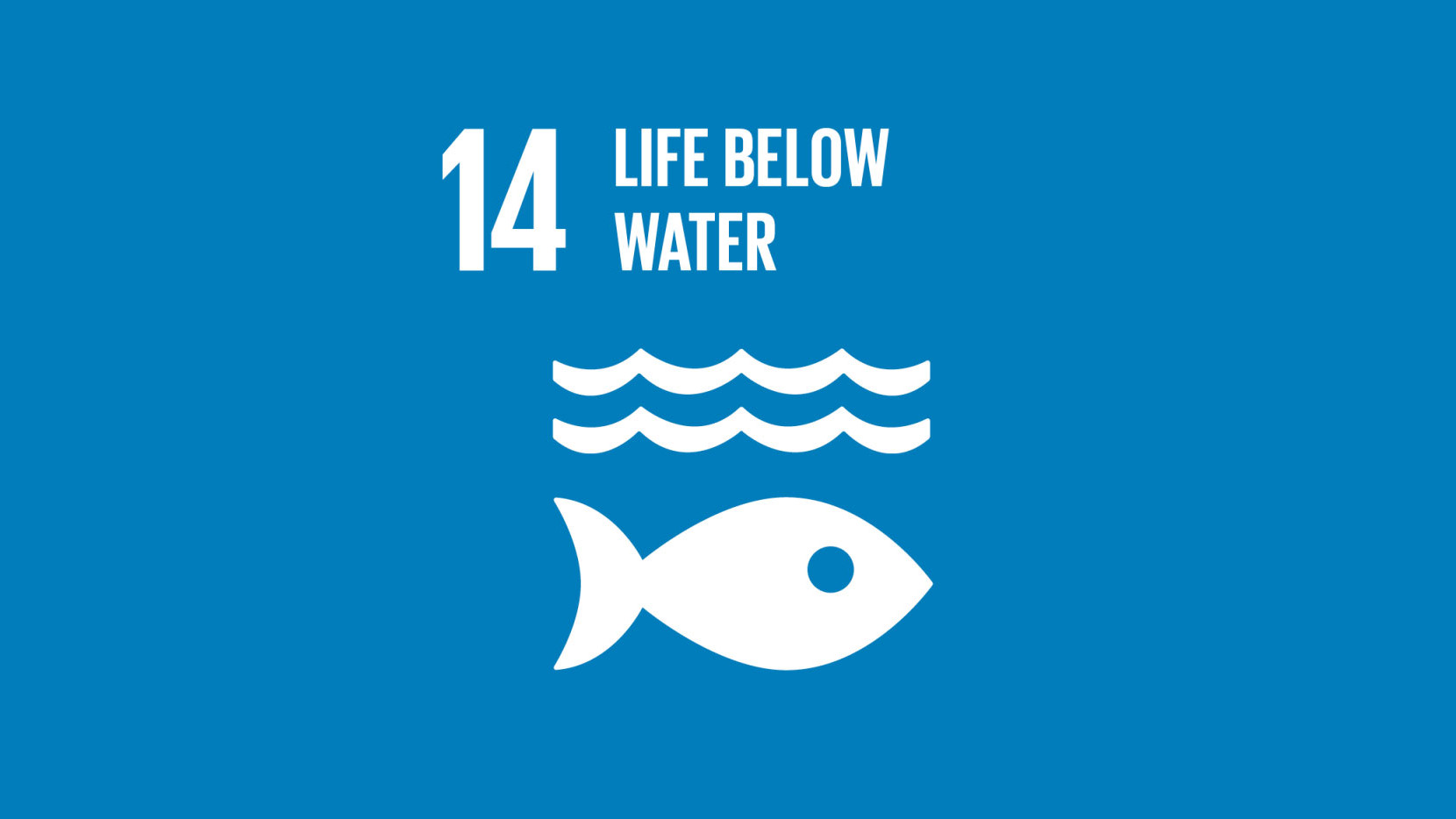 Life below water | University of Technology Sydney
