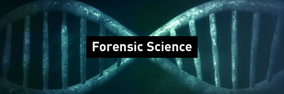 Forensic Science Work